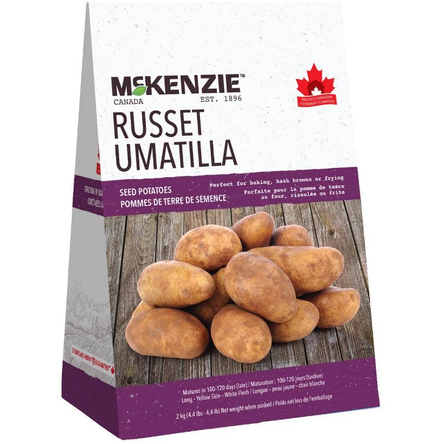 MCKENZIE White Russet Umatilla Seed Potatoes | Home Hardware