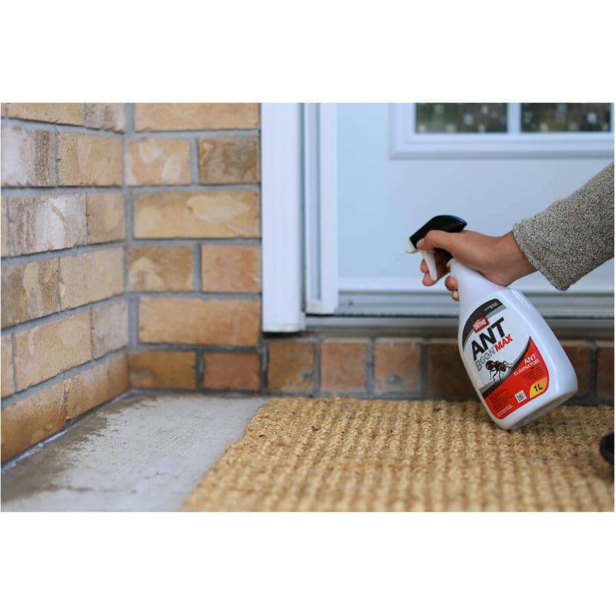 ORTHO Ant B Gon Max - Ready To Use, 1 L | Home Hardware