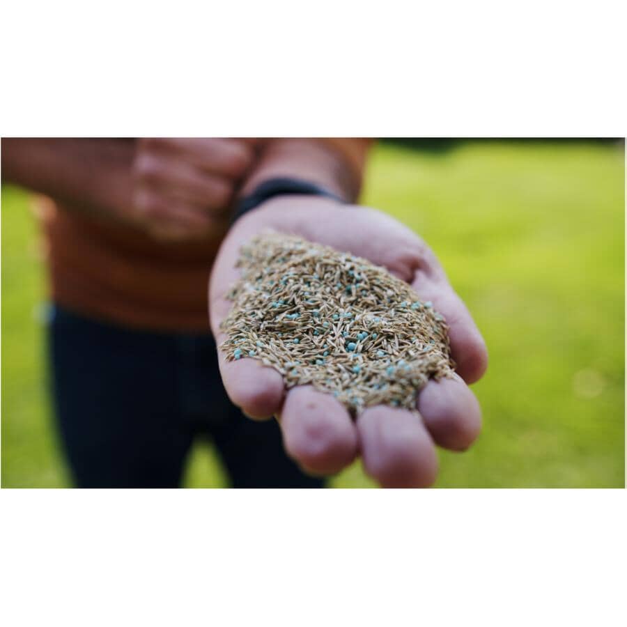 SCOTTS Turf Builder Quick+Thick Grass Seed | Home Hardware