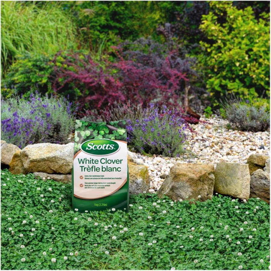 SCOTTS White Clover Grass Seed | Home Hardware