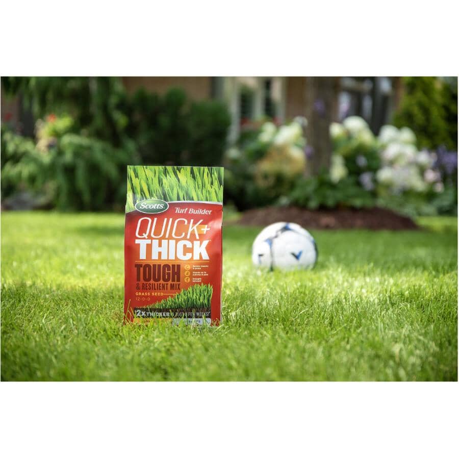 SCOTTS Turf Builder Quick + Thick Tough & Resilient Grass Seed Mix ...