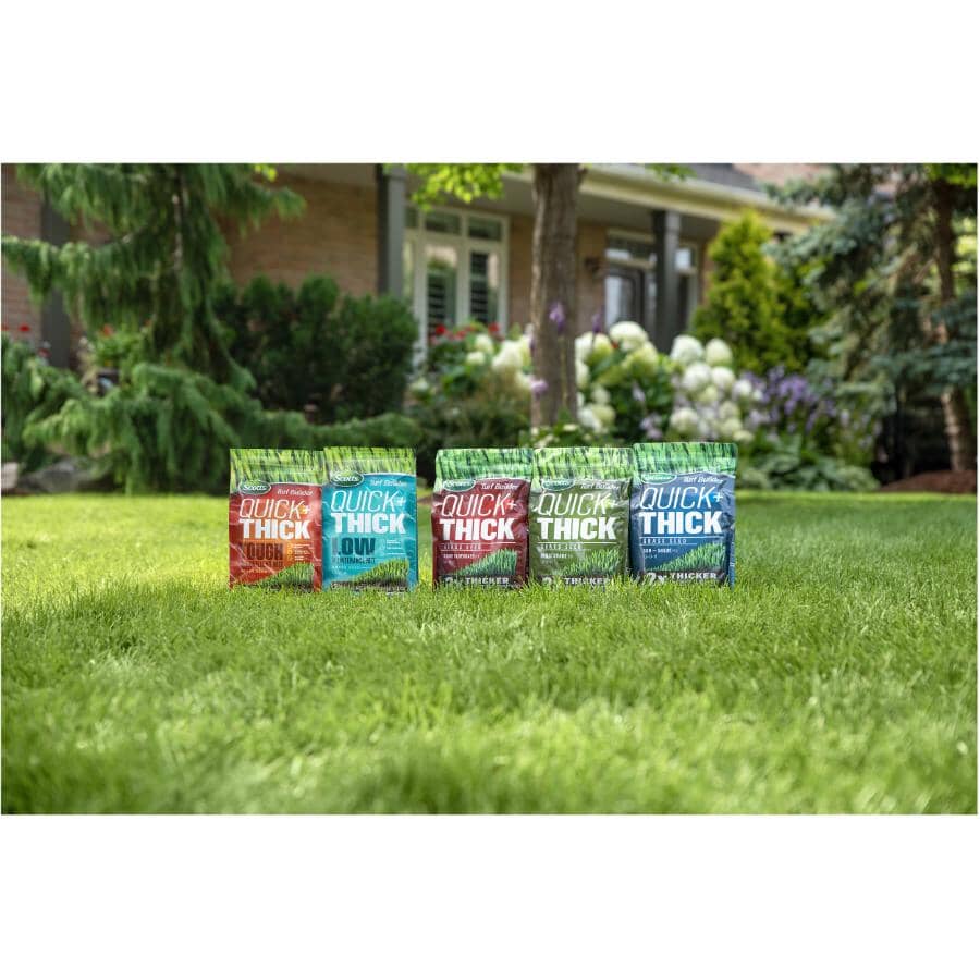 SCOTTS Turf Builder Quick + Thick Low Maintenance Grass Seed Mix | Home ...