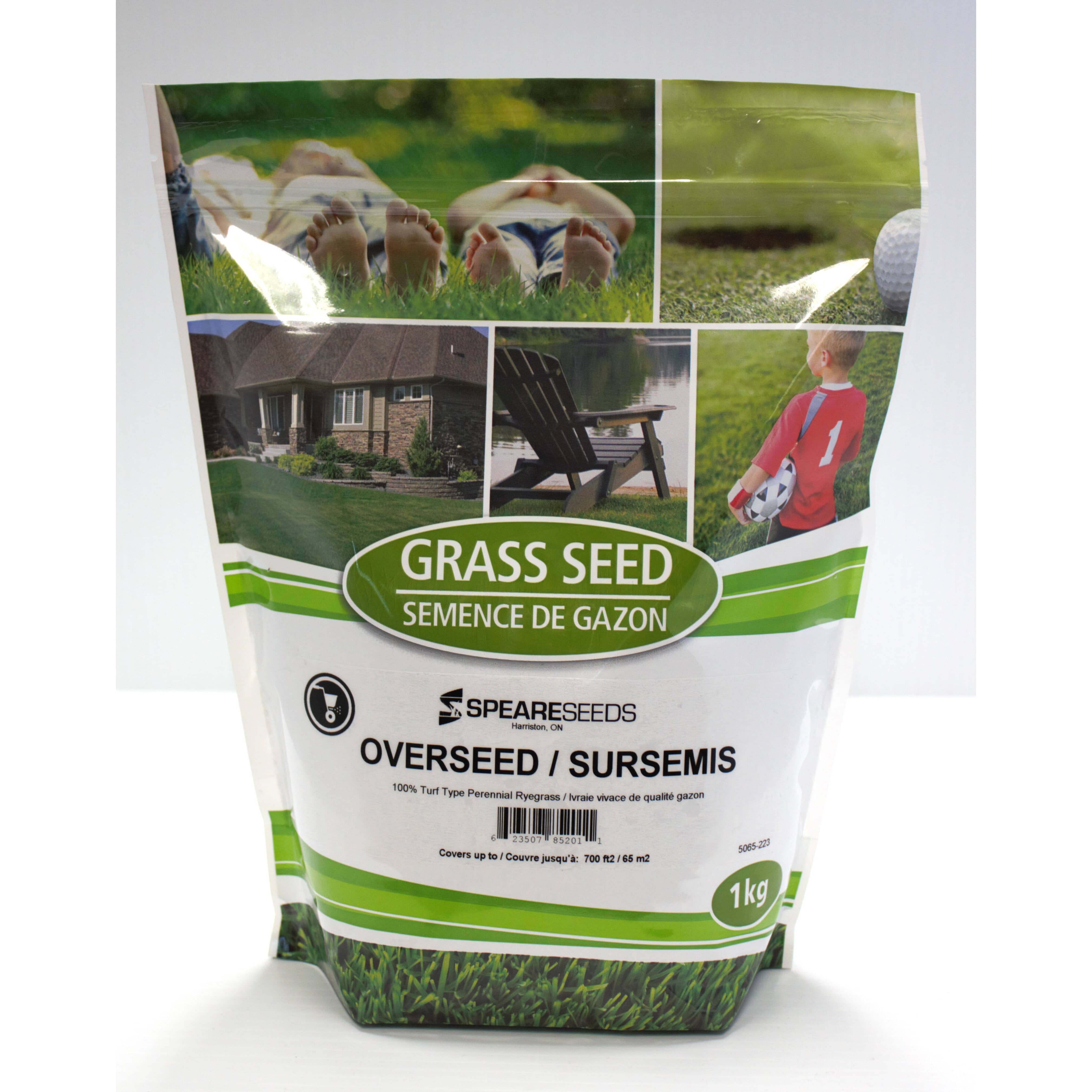 SPEARE SEEDS Overseeding Lawn Seed Mixture | Home Hardware