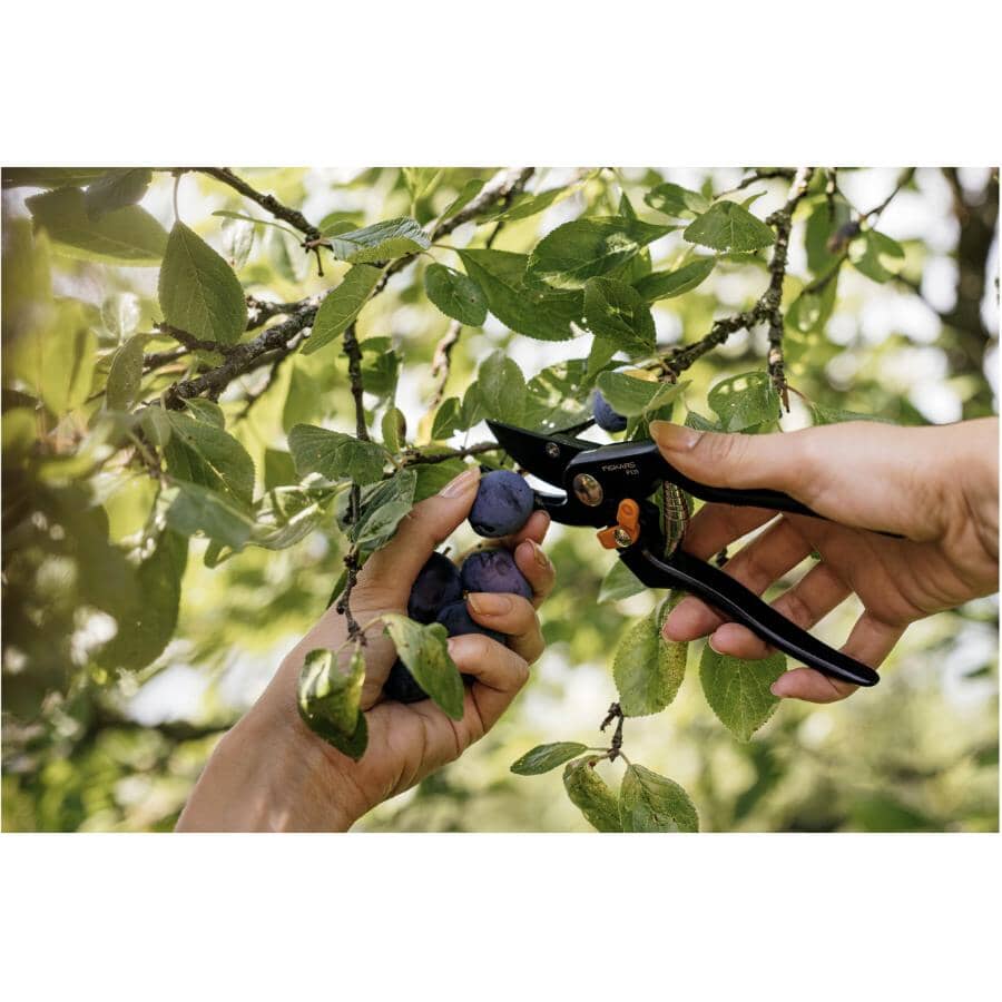 FISKARS Solid Bypass Pruner | Home Hardware
