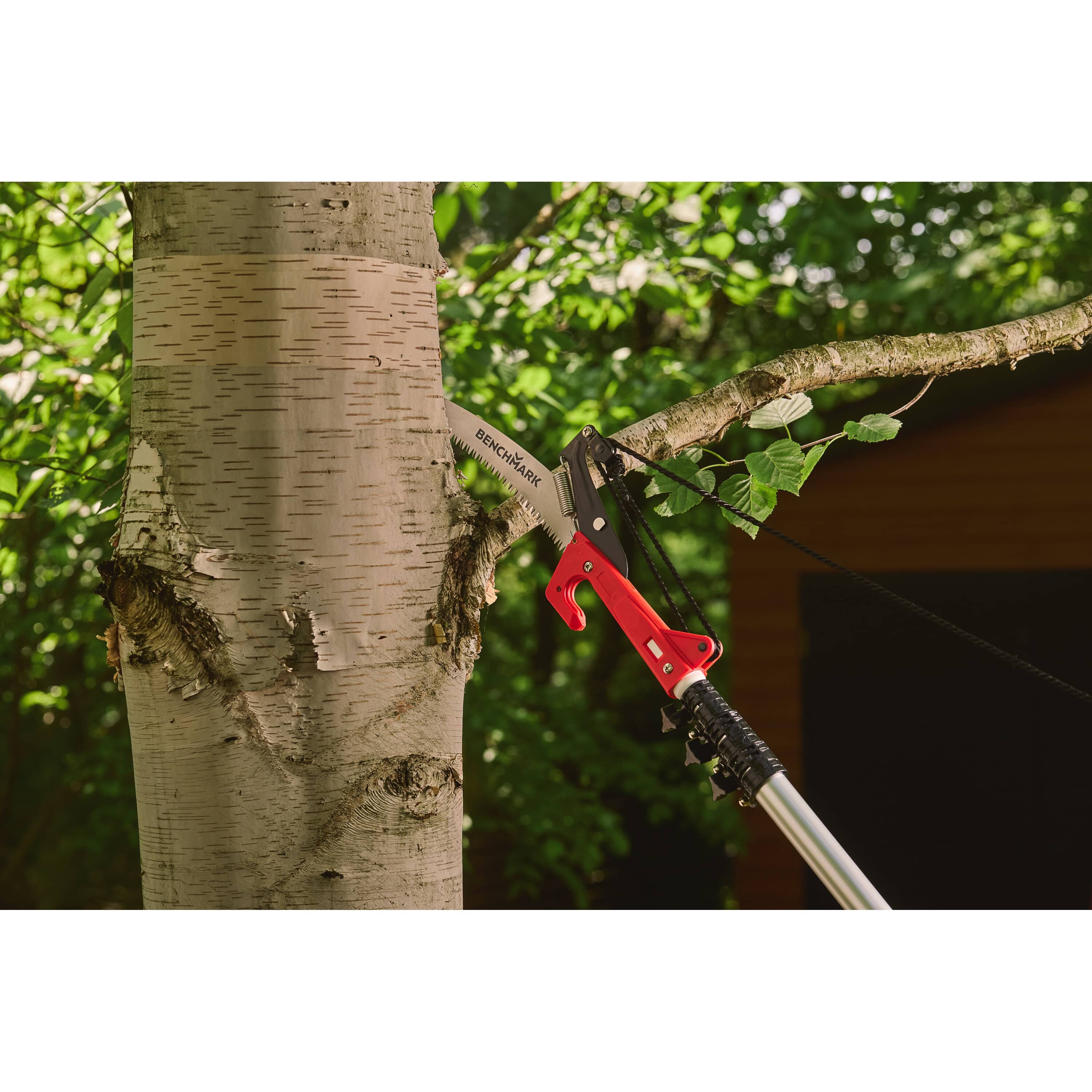 BENCHMARK 15' Telescopic Tree Pruner | Home Hardware