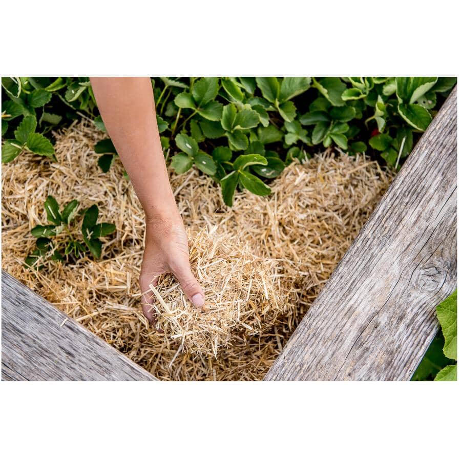 HEALTHISTRAW 3 Cu. Ft. GardenStraw Premium Mulch | Home Hardware
