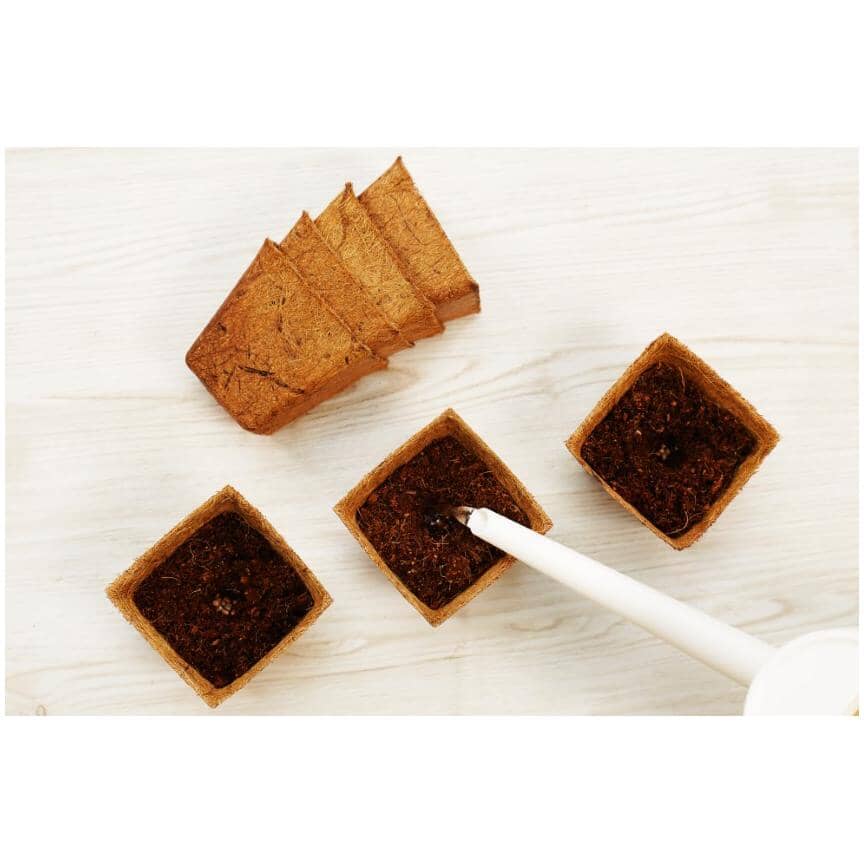 PLANTBEST 3" Square Coir Fiber Plantable Pots | Home Hardware