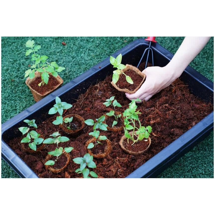 PLANTBEST 3" Square Coir Fiber Plantable Pots | Home Hardware