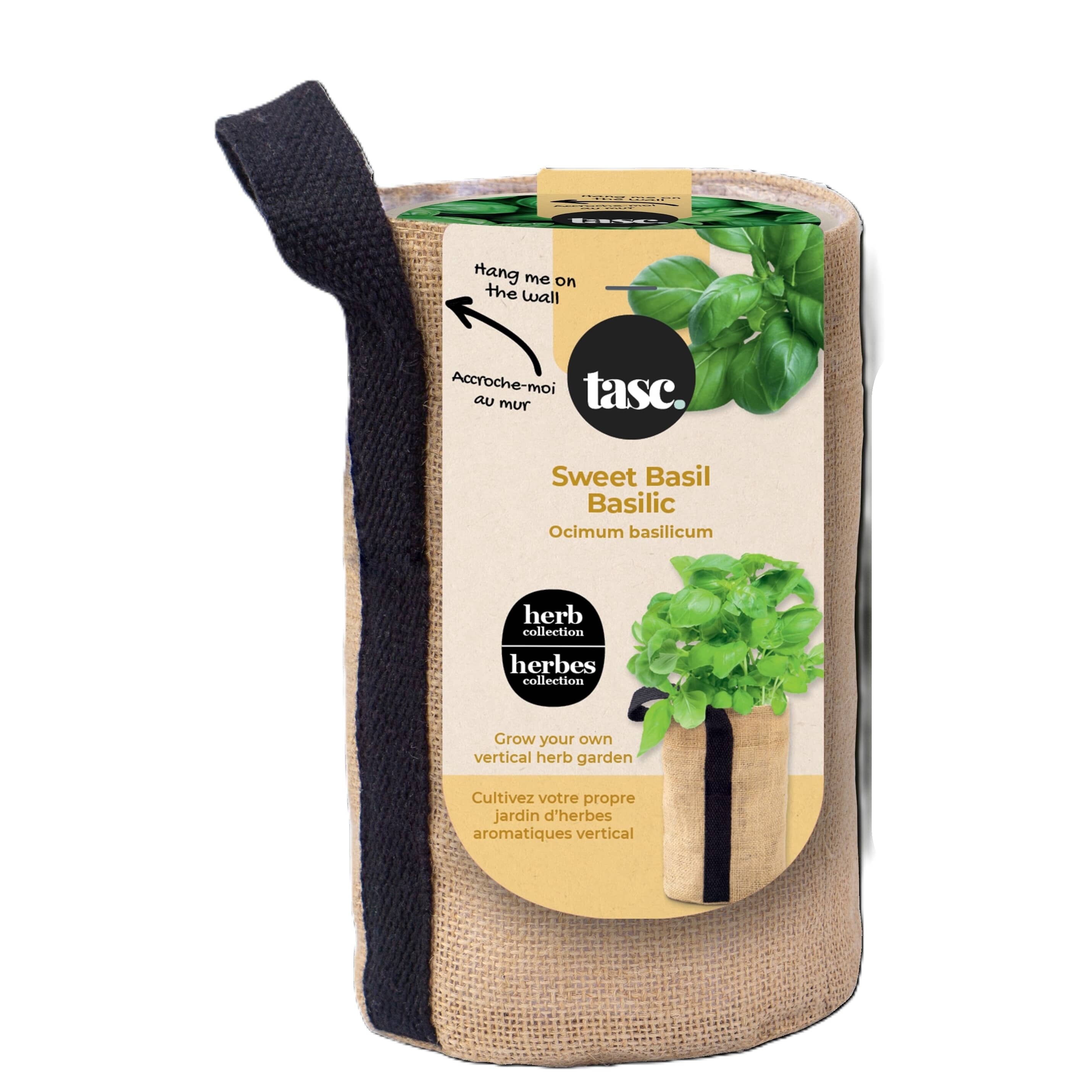 TASC Seeds Are Easy Herb Sweet Basil Grow Kit | Home Hardware