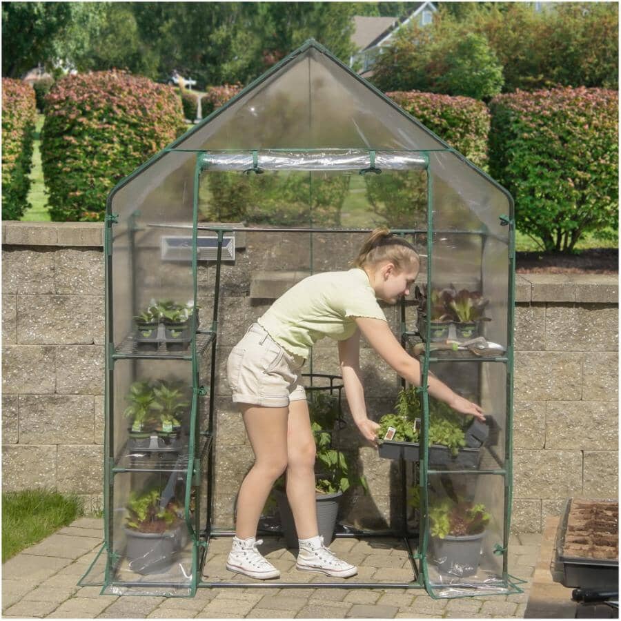 MIRACLE-GRO Mini Greenhouse 4'8" x 29" x 6'5" | Home Hardware
