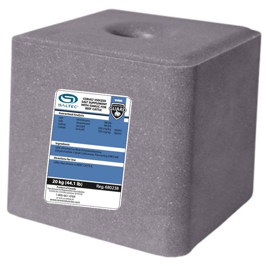 SALTEC Iodized Salt Block | Home Hardware