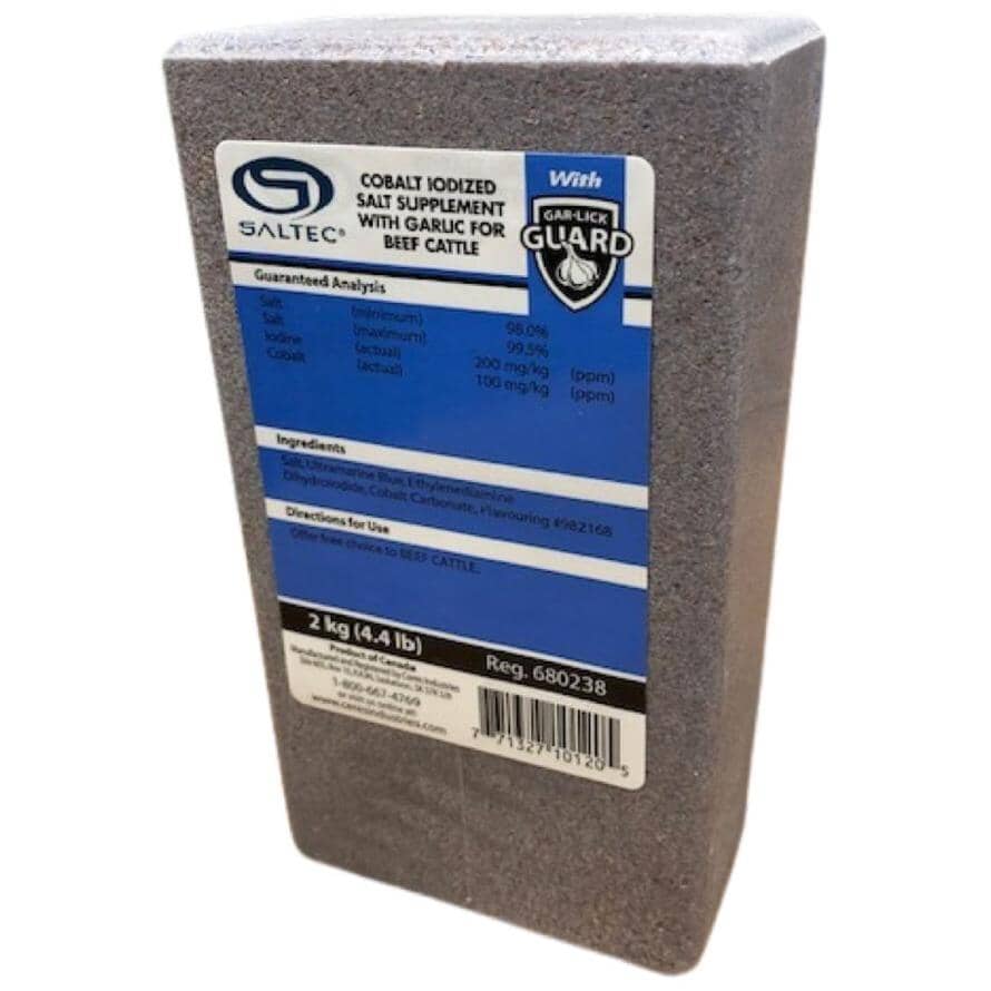 SALTEC Iodized Salt Block | Home Hardware