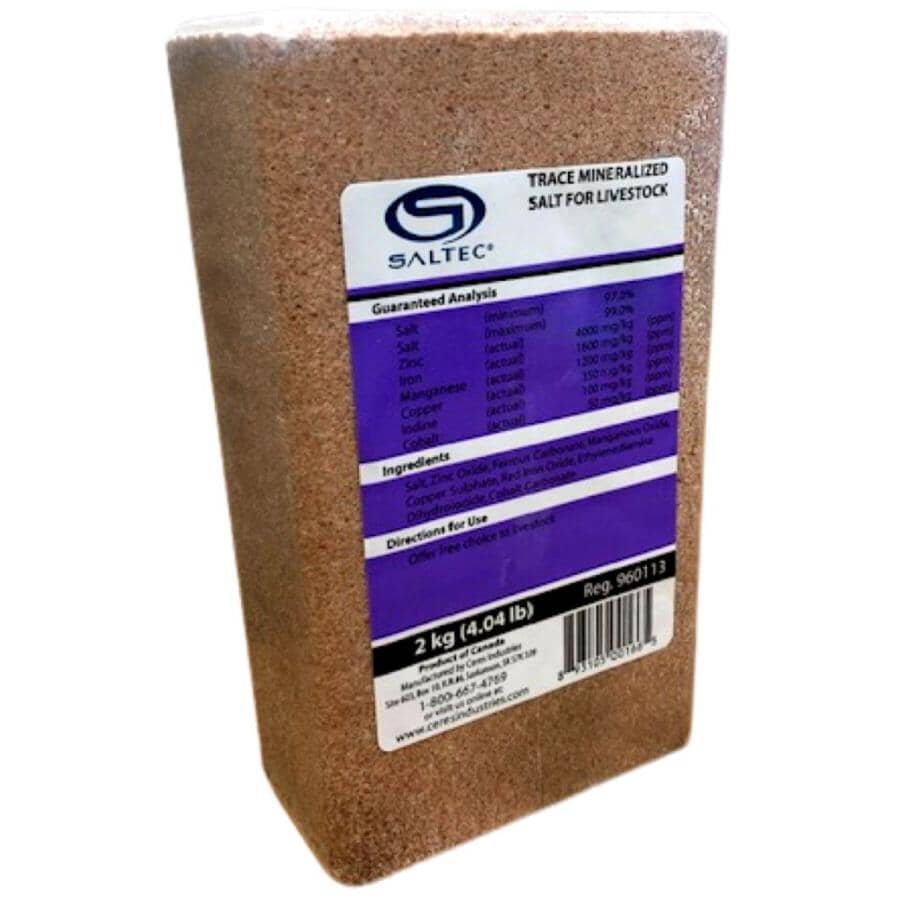 SALTEC Trace Mineralized Salt Block | Home Hardware