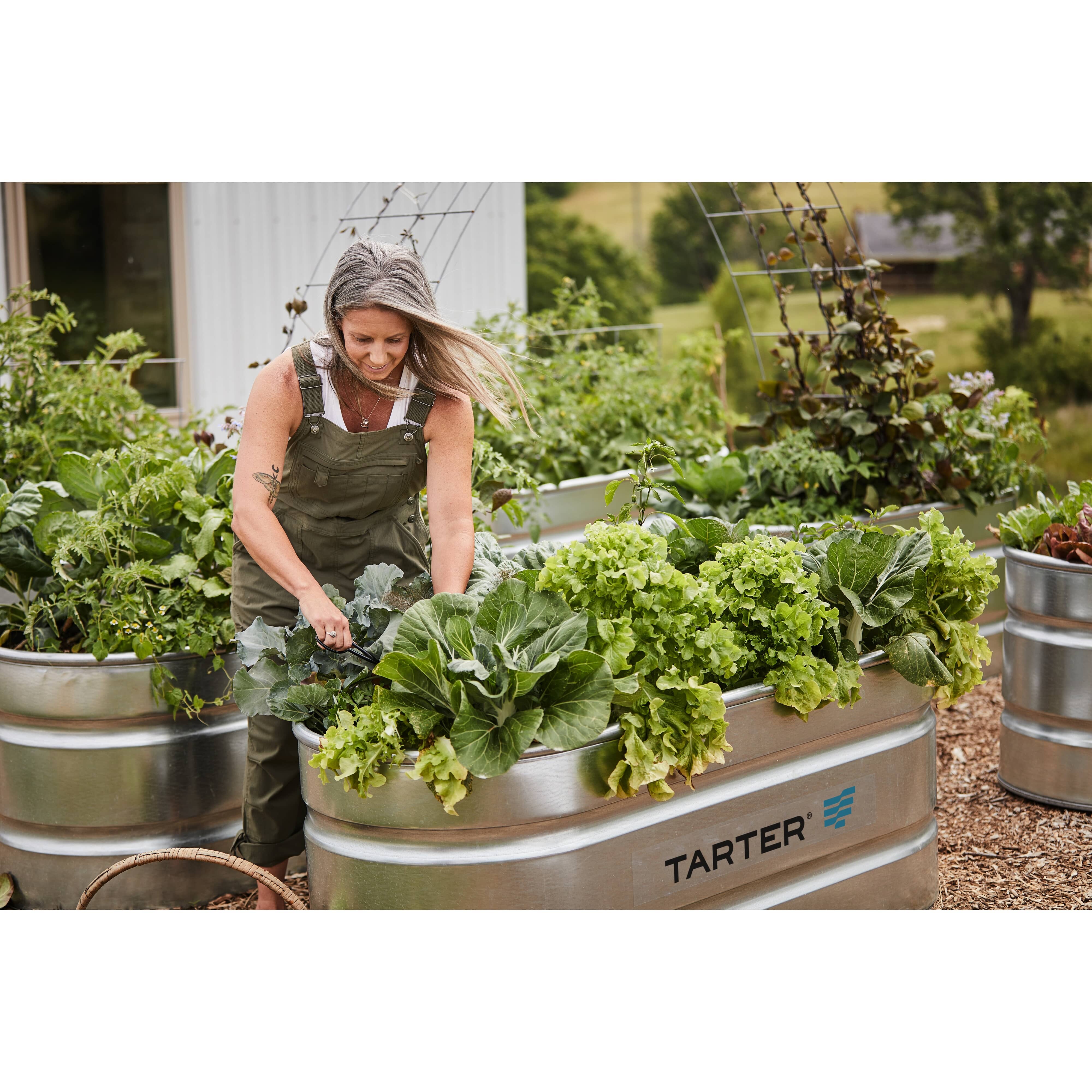 TARTER 170 Gal Galvanized Oval Stock Tank | Home Hardware