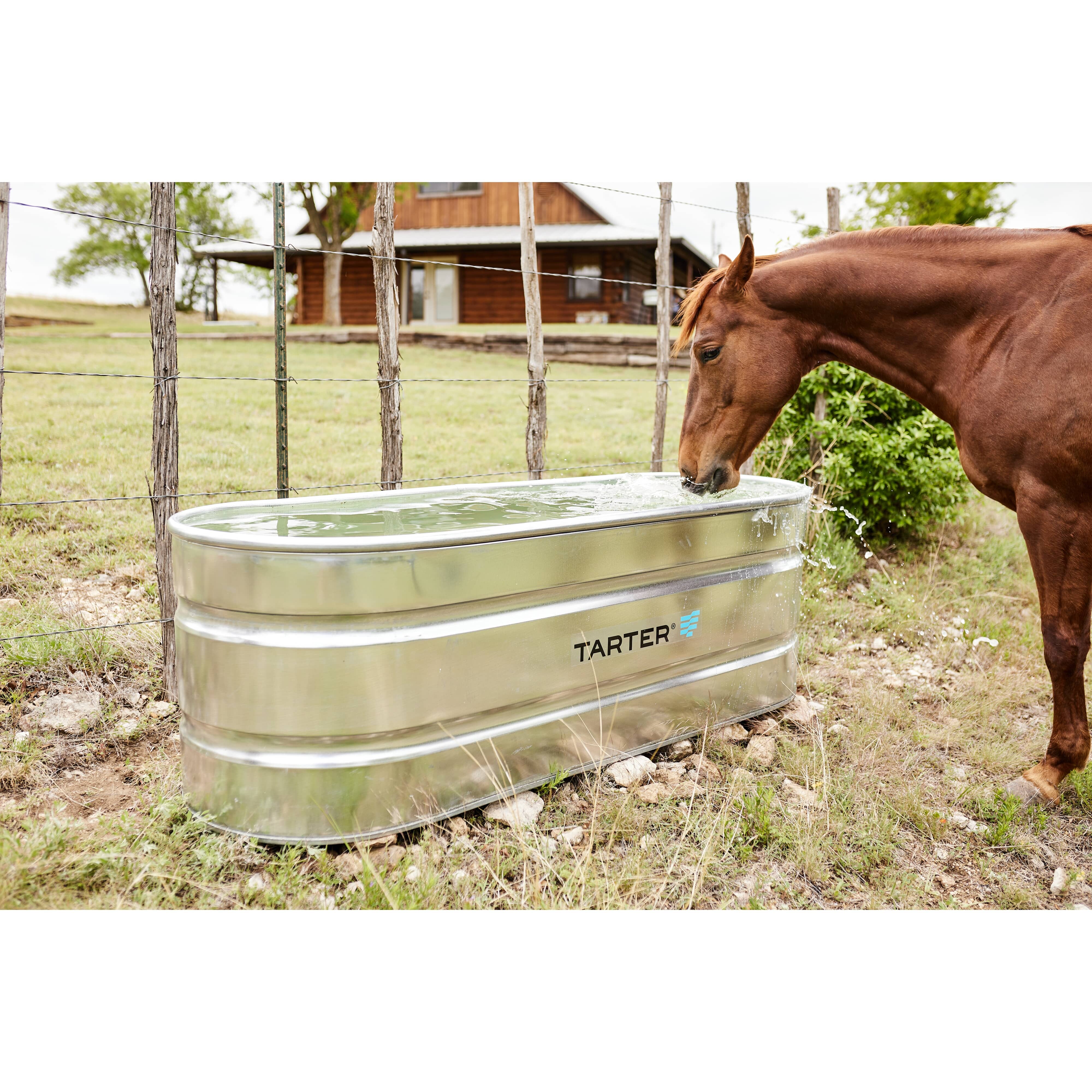TARTER 170 Gal Galvanized Oval Stock Tank | Home Hardware