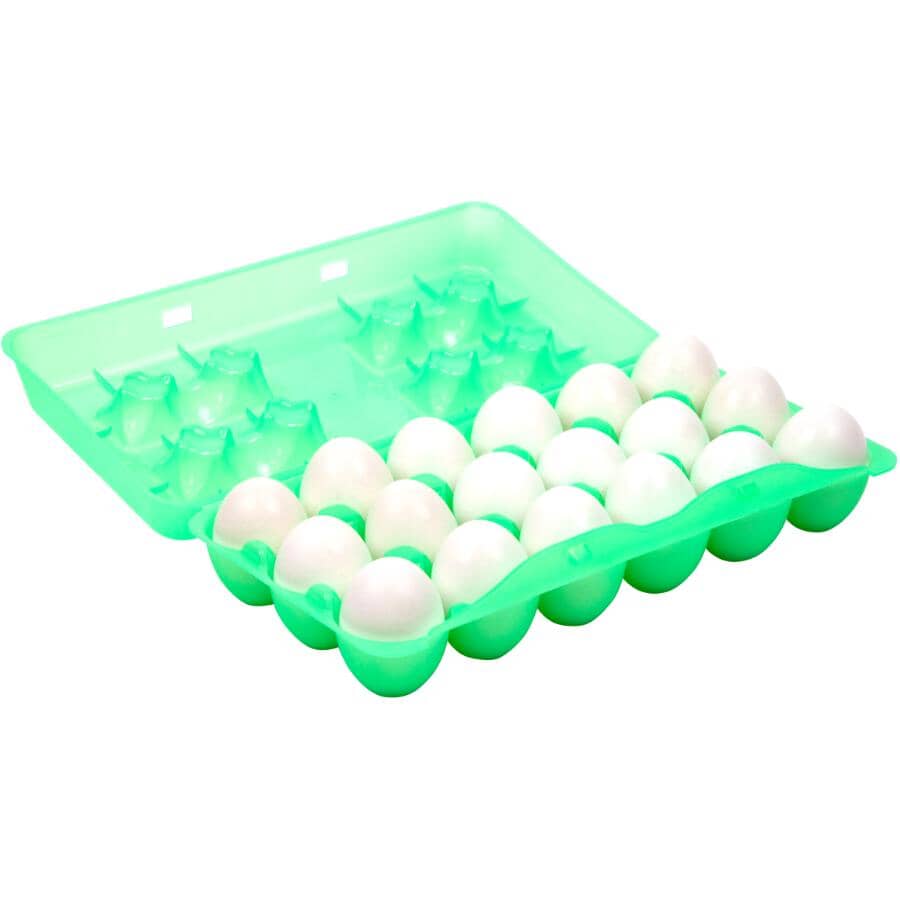 TUFF STUFF PRODUCTS Green Plastic Egg Carton | Home Hardware