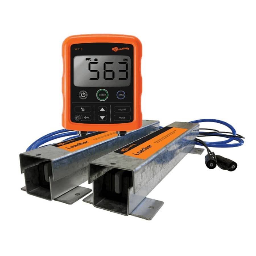 Gallagher Digital Weigh Scale, with Loadbars | Home Hardware