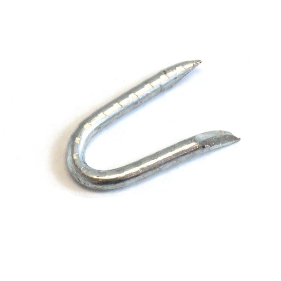 TREE ISLAND 7/8" Galvanized Poultry Netting Staples | Home Hardware