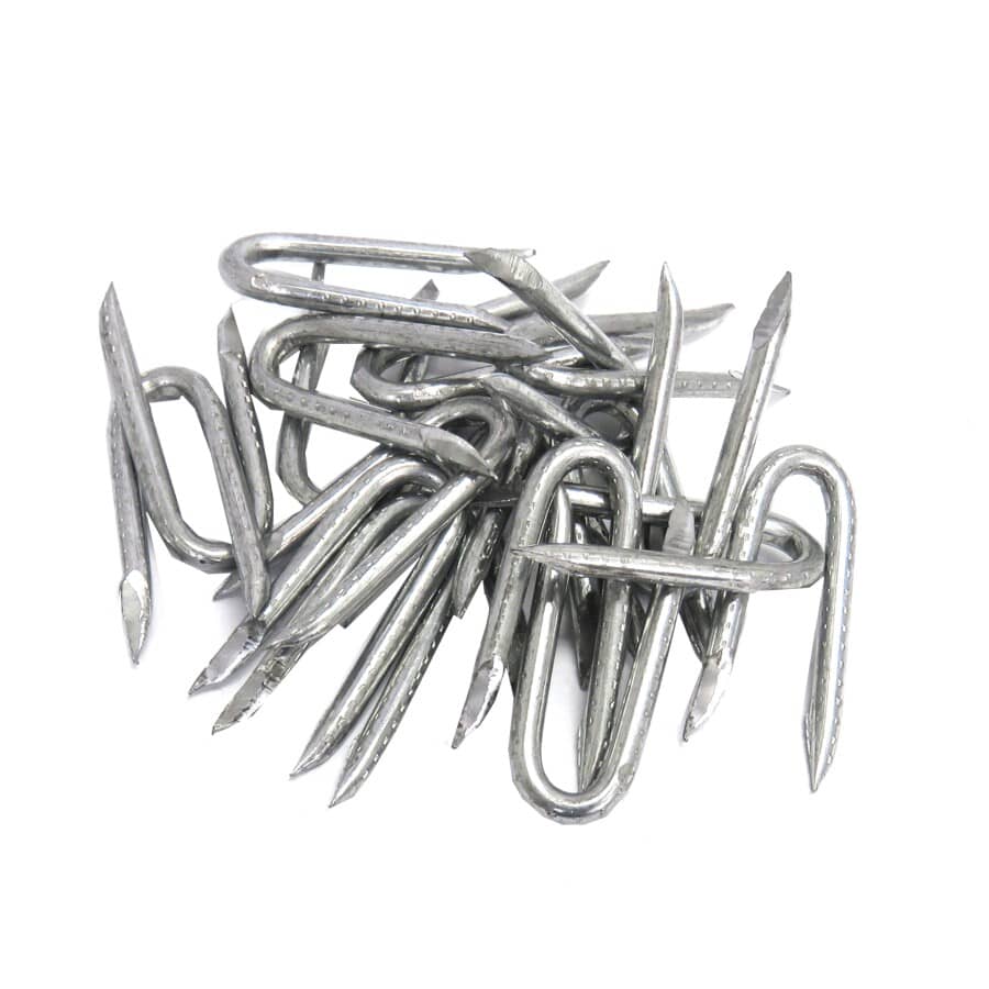 TREE ISLAND 1-1/2" Galvanized Fence Staples | Home Hardware