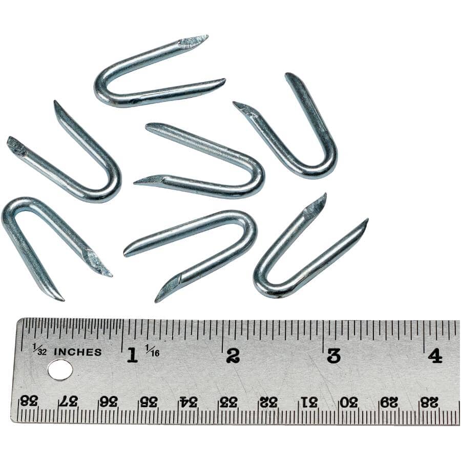TREE ISLAND 50lbs 1-1/4" Galvanized Fence Staples | Home Hardware