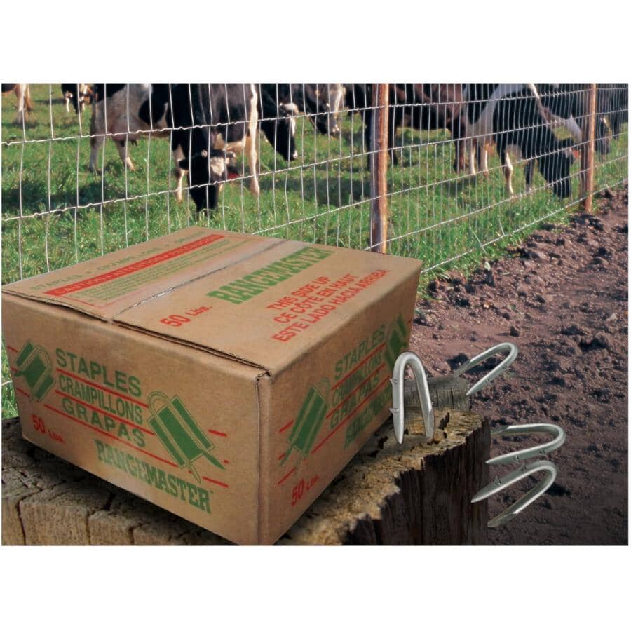 TREE ISLAND 50lbs 1-3/4" Double Barbed Galvanized Fence Staples | Home ...