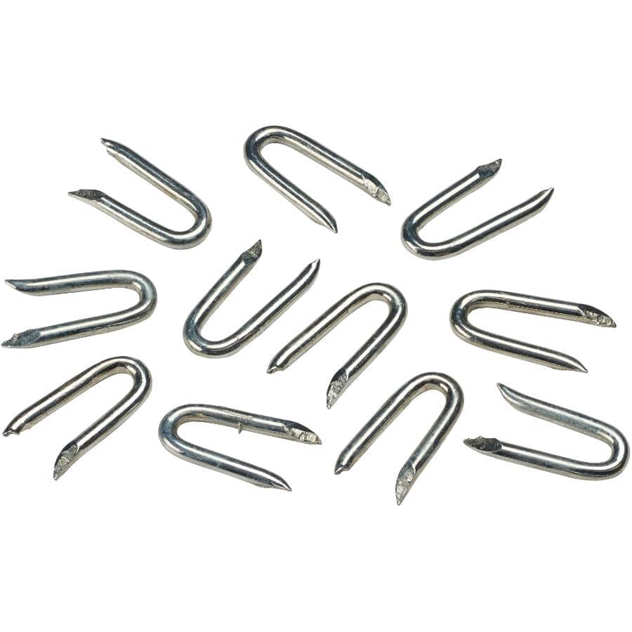 TREE ISLAND 3/4" Galvanized Poultry Netting Staples | Home Hardware