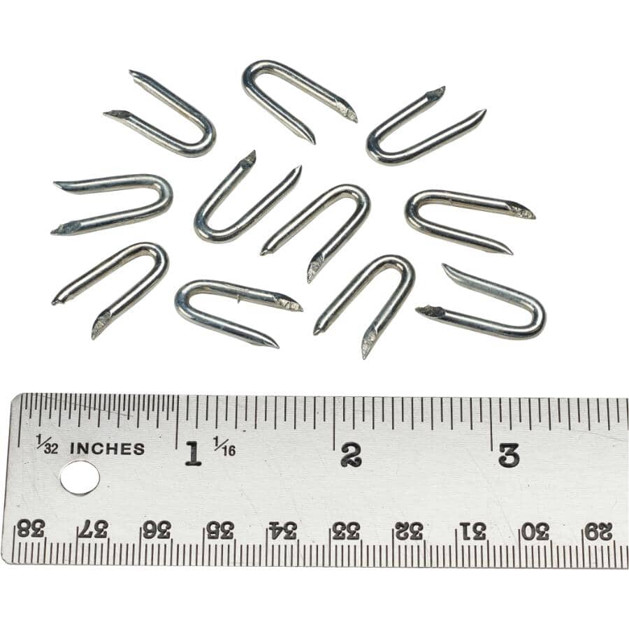 TREE ISLAND 3/4" Galvanized Poultry Netting Staples | Home Hardware