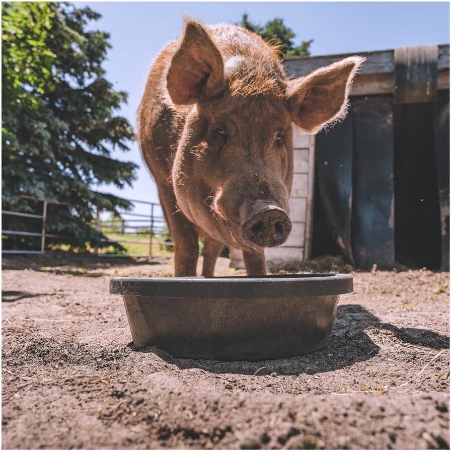 RED BARN Rubber Livestock Tub | Home Hardware