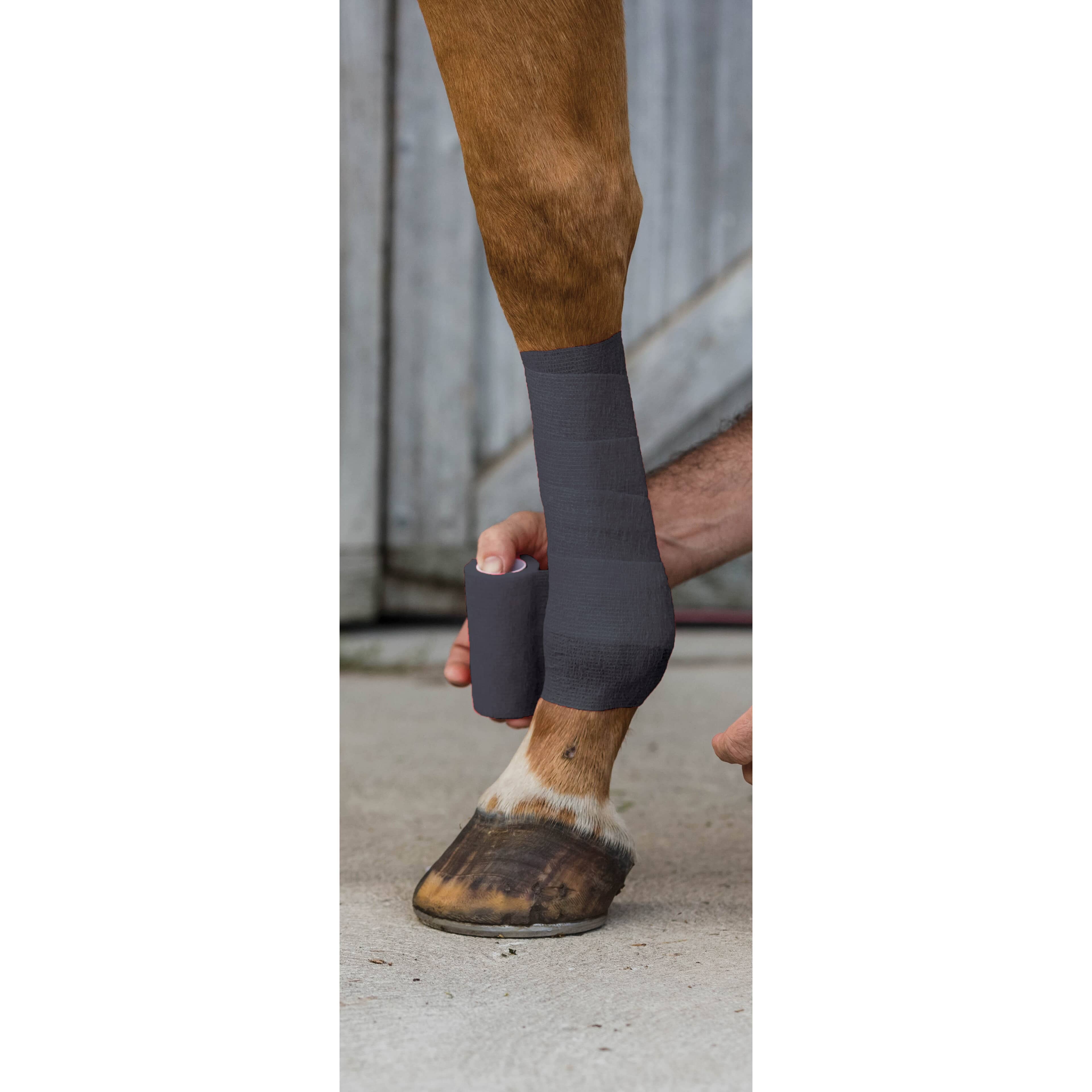WESTERN RAWHIDE Axis Support Bandage | Home Hardware