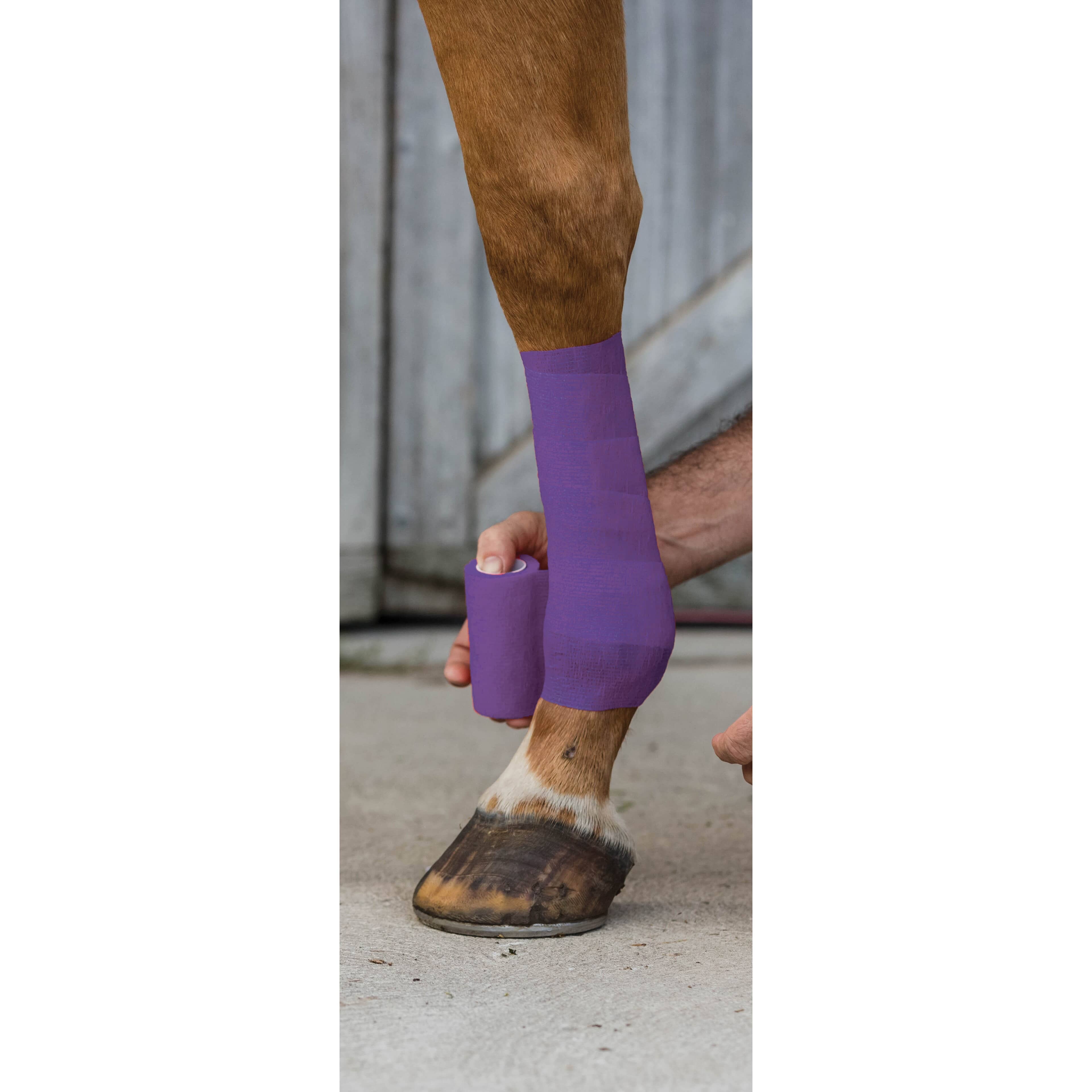 WESTERN RAWHIDE Axis Support Bandage | Home Hardware