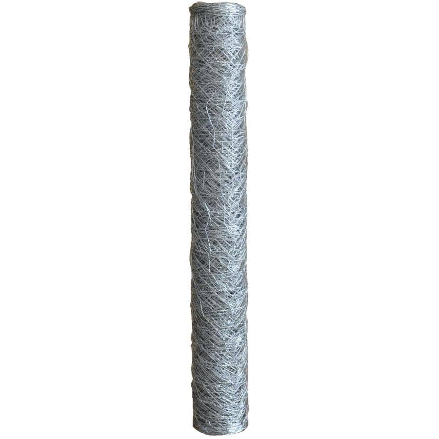 COUNTRY HARDWARE 21-Gauge Galvanized Poultry Netting | Home Hardware