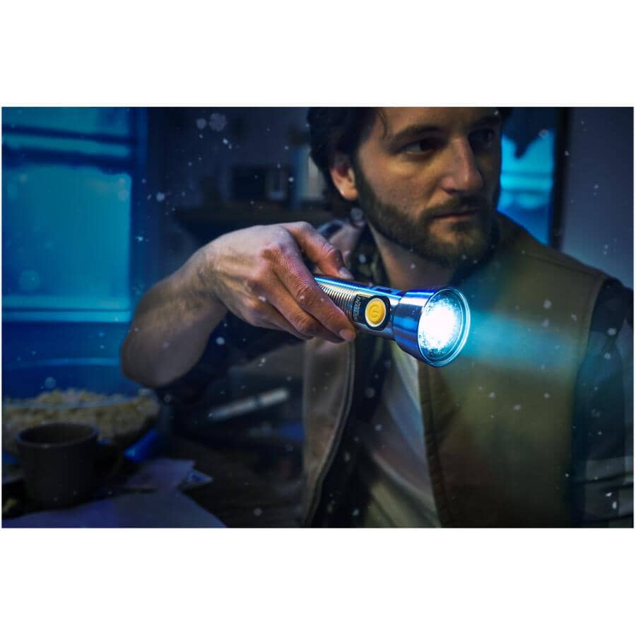 ENERGIZER Stranger Things Demogorgon Flashlight | Home Hardware