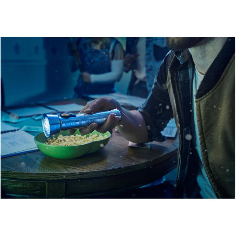 ENERGIZER Stranger Things Demogorgon Flashlight | Home Hardware