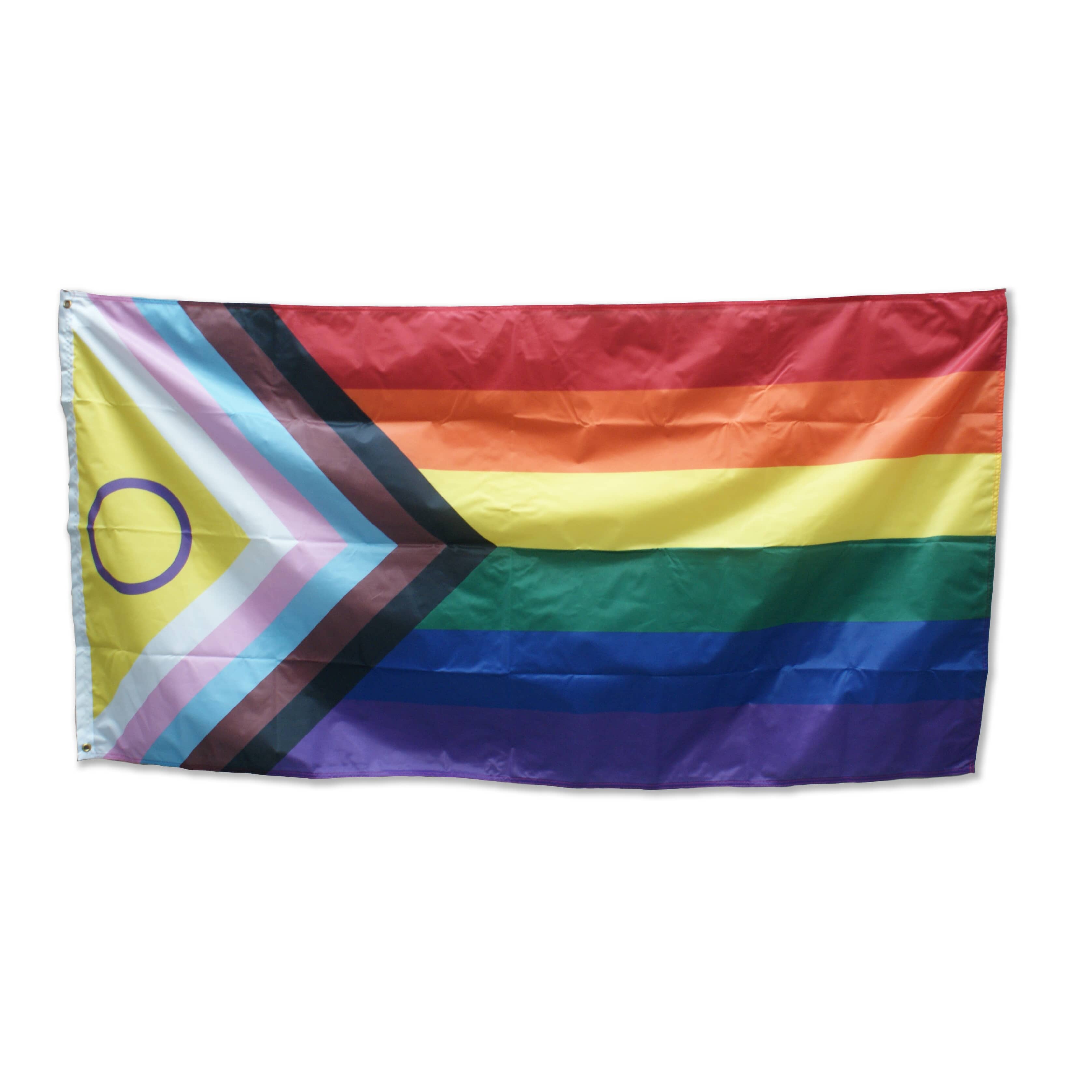 FLAGS UNLIMITED 36" x 72" DuraKnit Pride Intersex Flag | Home Hardware