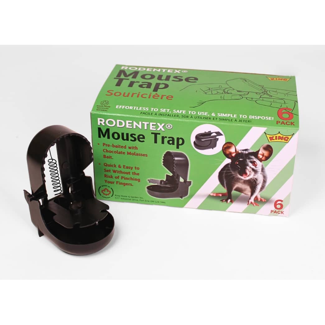 RODENTEX Quick & Easy Mouse Traps | Home Hardware