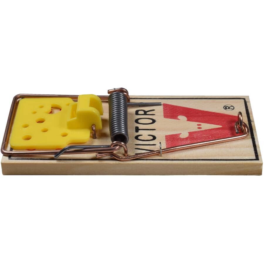 VICTOR Easy Set Mouse Trap - 2 Pack | Home Hardware