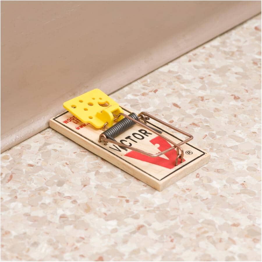 VICTOR Easy Set Mouse Trap - 2 Pack | Home Hardware