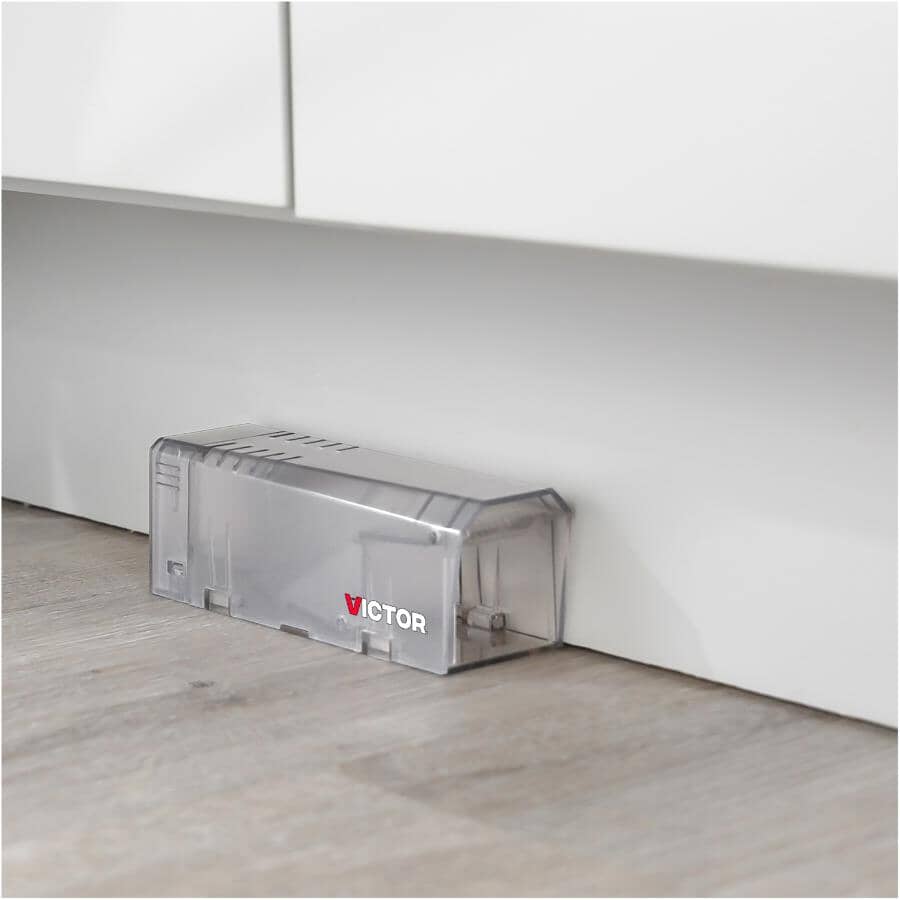 VICTOR Single Live Catch Mouse Trap | Home Hardware