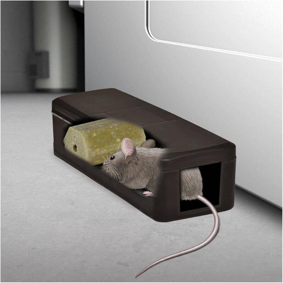 VICTOR Fast Kill Disposable Mouse Bait Station | Home Hardware
