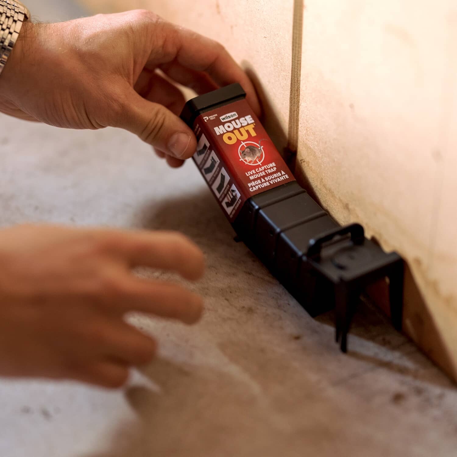 WILSON Predator Tip Mouse Trap | Home Hardware