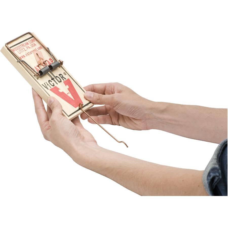 Victor Metal Pedal - Live Rat Trap | Home Hardware