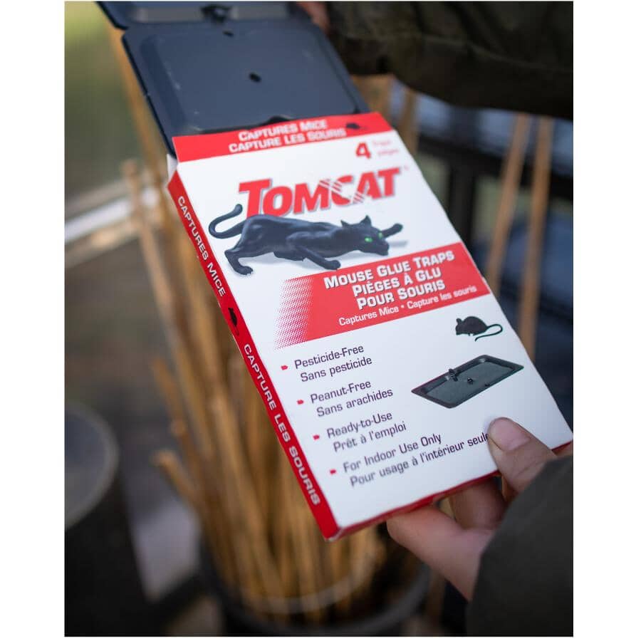TOMCAT 4 Pack Mouse Glue Traps | Home Hardware