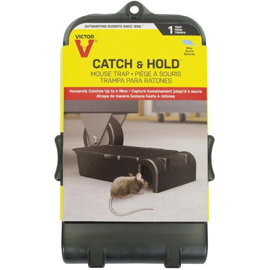 VICTOR Catch & Hold Mouse Trap | Home Hardware