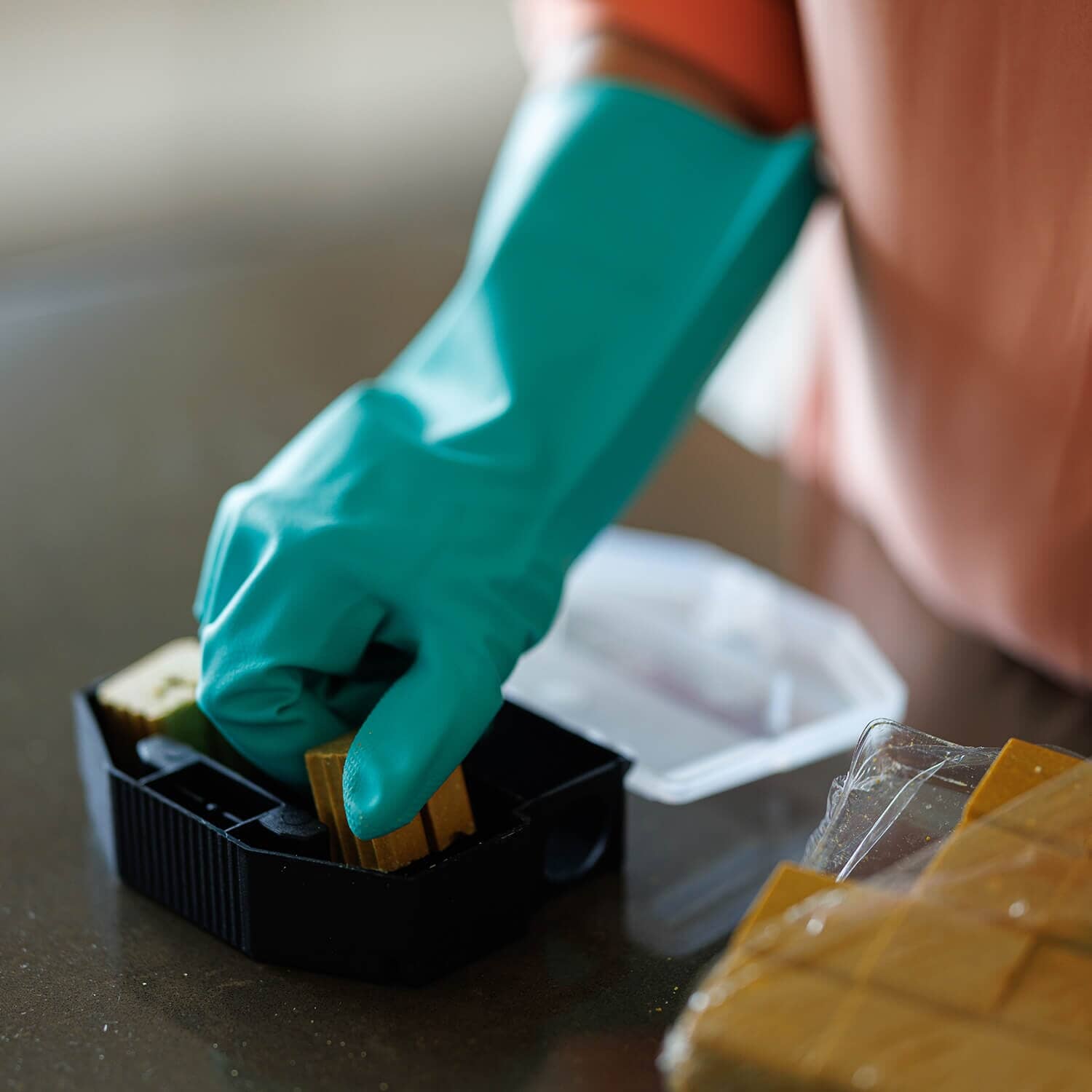 WILSON MouseOUT Warfarin Block Kit | Home Hardware