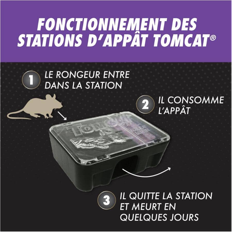 TOMCAT Advanced Formula Disposable Rat Killer Bait Station | Home Hardware