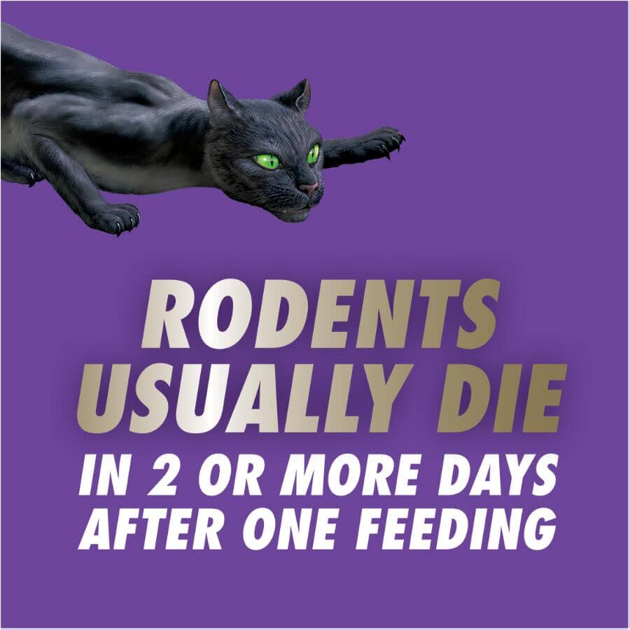 TOMCAT Advanced Formula Disposable Rat Killer Bait Station | Home Hardware