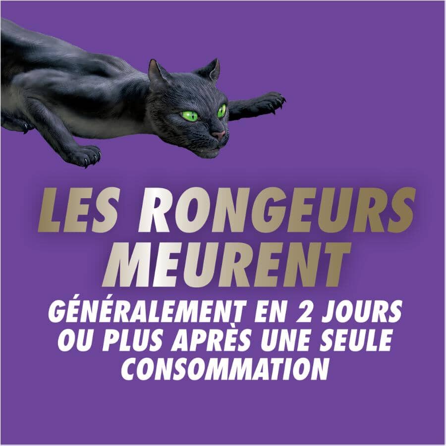 TOMCAT Advanced Formula Disposable Rat Killer Bait Station | Home Hardware