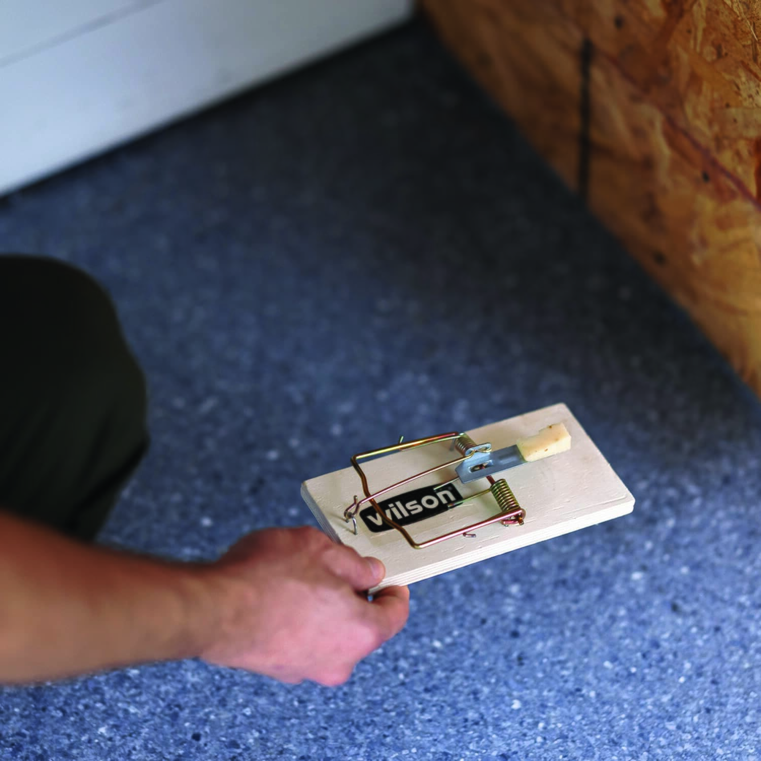 WILSON Predator Wood Rat Trap | Home Hardware