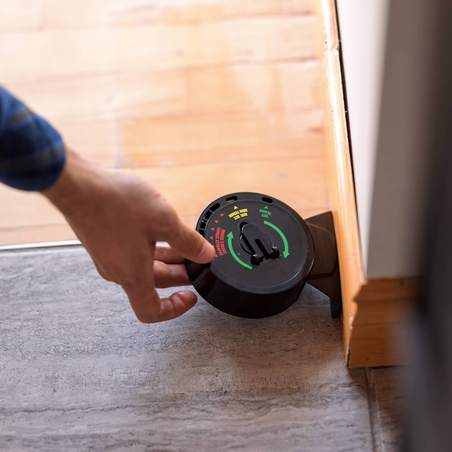 WILSON MouseOUT Smart Mouse Trap - 2 Pack | Home Hardware