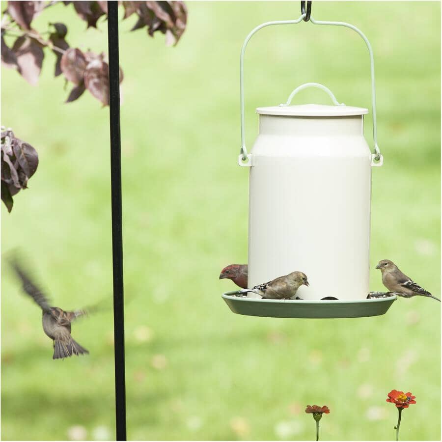 PERKY PET Milk Pail Bird Feeder | Home Hardware